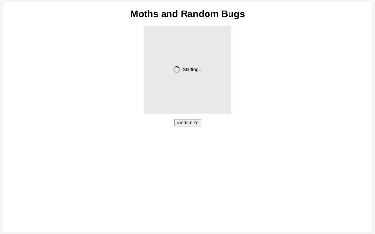 Moths and Random Bugs ― Perchance Generator
