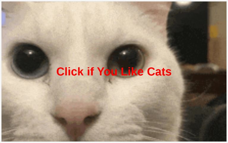 Click if You Like Cats ― Perchance Generator