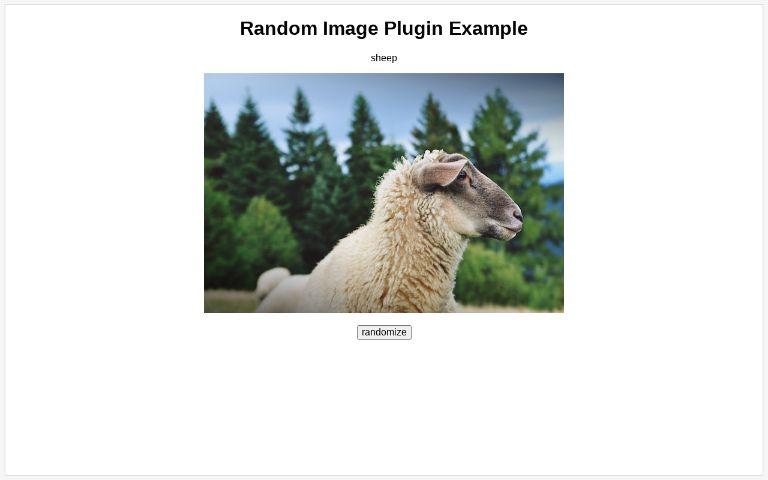 Random Image Plugin Example