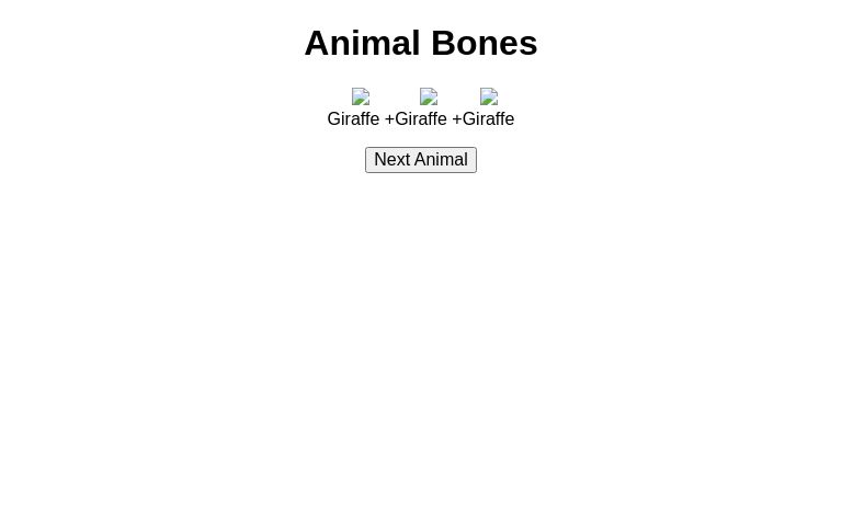 Animal Bones ― Perchance Generator