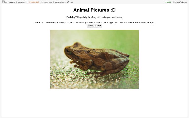Animal Pictures :D ― Perchance Generator