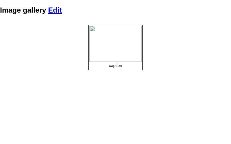 Image gallery Edit ― Perchance Generator