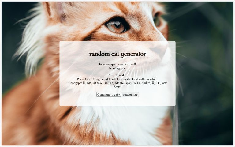 random cat generator