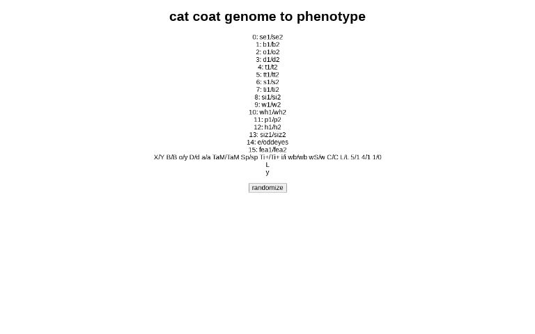 cat coat genome to phenotype ― Perchance Generator