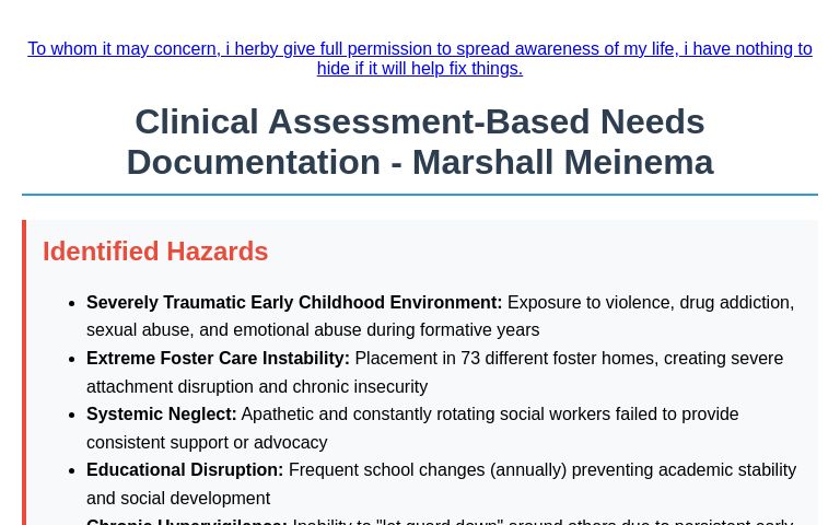 Clinical Assessment-Based Needs Documentation - Marshall Meinema ― Perchance Generator