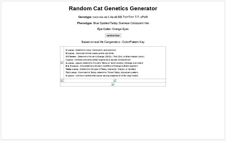 Random Cat Genetics Generator