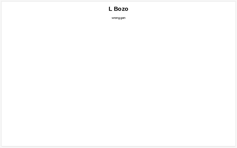 L Bozo ― Perchance Generator