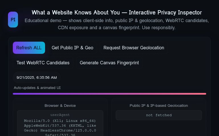 What a Website Knows About You — Interactive Privacy Inspector ― Perchance Generator