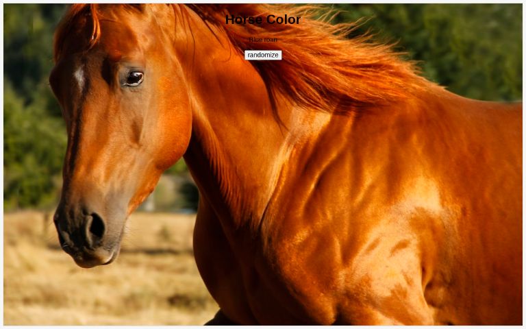 Horse Color ― Perchance Generator