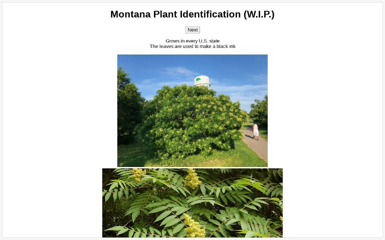 Montana Plant Identification (W.I.P.) ― Perchance Generator