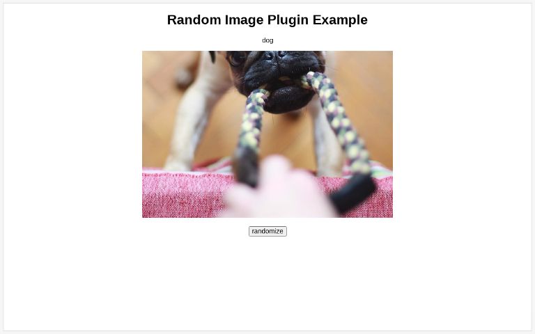 Random Image Plugin Example
