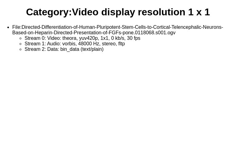 Category:Video display resolution 1 x 1 ― Perchance Generator