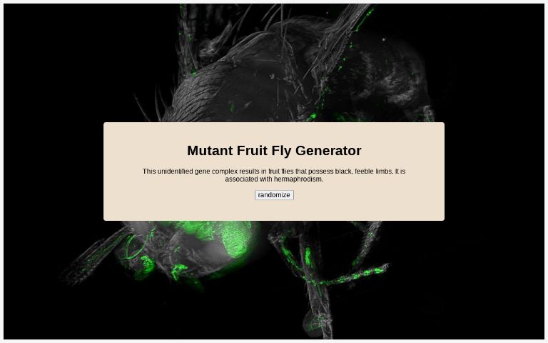 Mutant Fruit Fly Generator