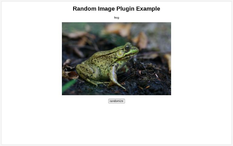Random Image Plugin Example