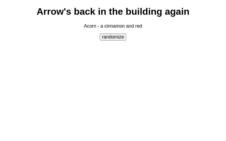 Arrow's back in the building again ― Perchance Generator