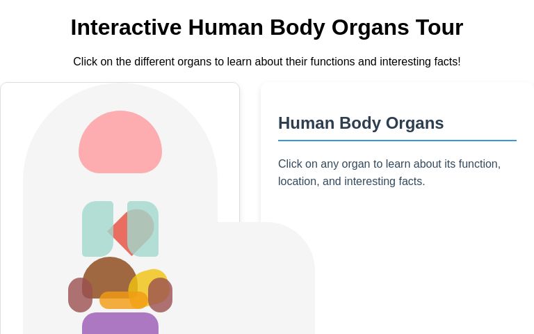 Interactive Human Body Organs Tour ― Perchance Generator