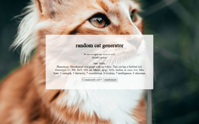 random cat generator