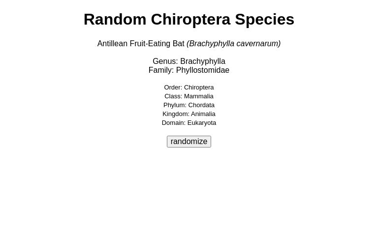 Random Chiroptera Species ― Perchance Generator