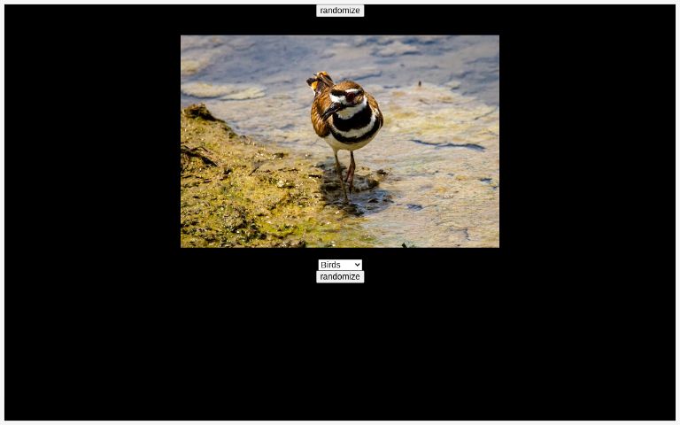 Random Nature Images ― Perchance Generator