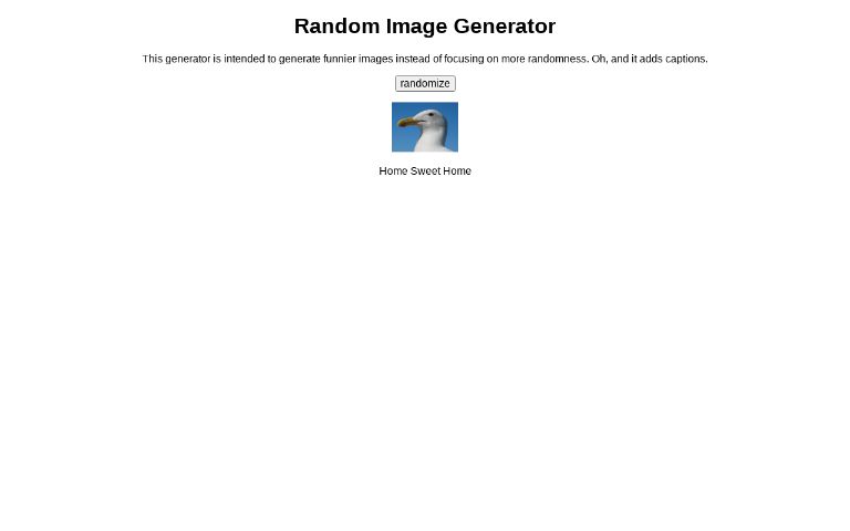 Random Image Generator