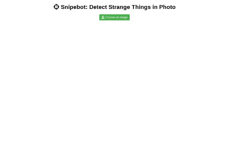 Snipebot: Detect Strange Things in Photo ― Perchance Generator
