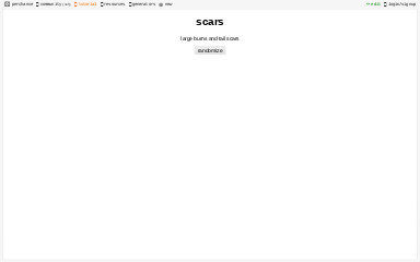 scars ― Perchance Generator