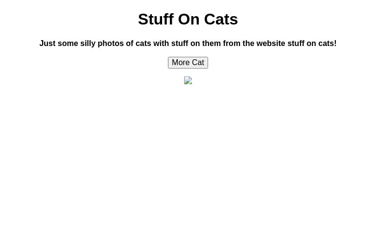 Stuff On Cats ― Perchance Generator