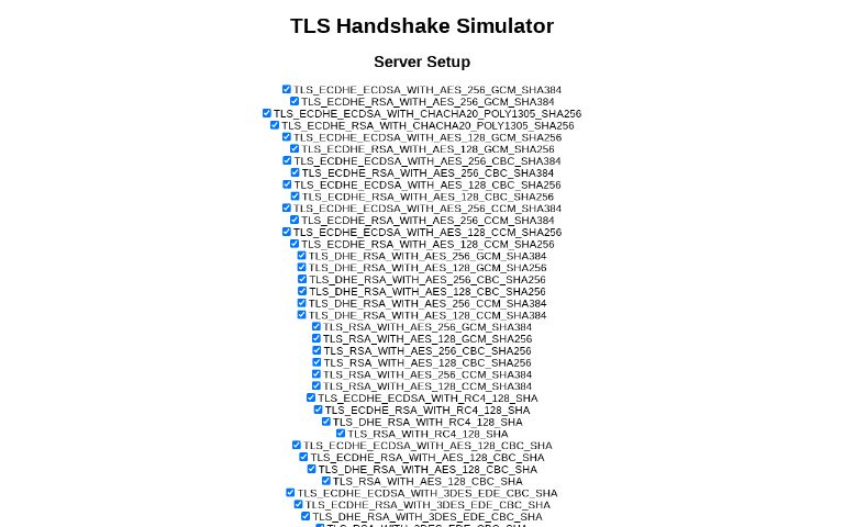 TLS Handshake Simulator ― Perchance Generator
