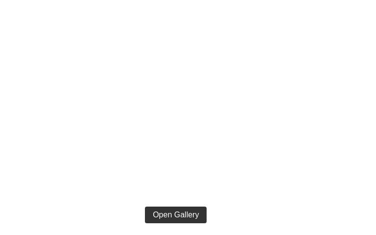 Custom HTML Gallery ― Perchance Generator