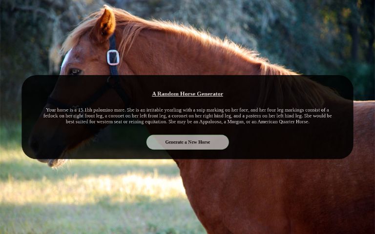 A Random Horse ― Perchance Generator