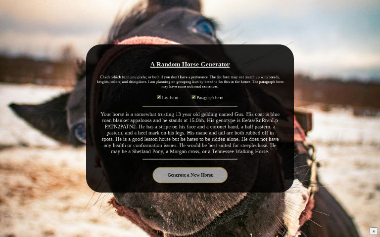 A Random Horse ― Perchance Generator